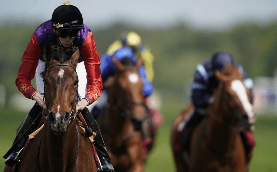 horse-racing-picking-a-winner | RacingQuestions.co.uk