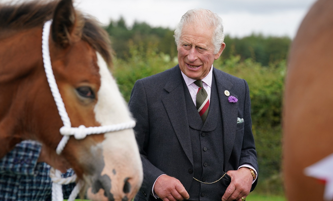 king-charles-horse-racing-cheltenham | RacingQuestions.co.uk
