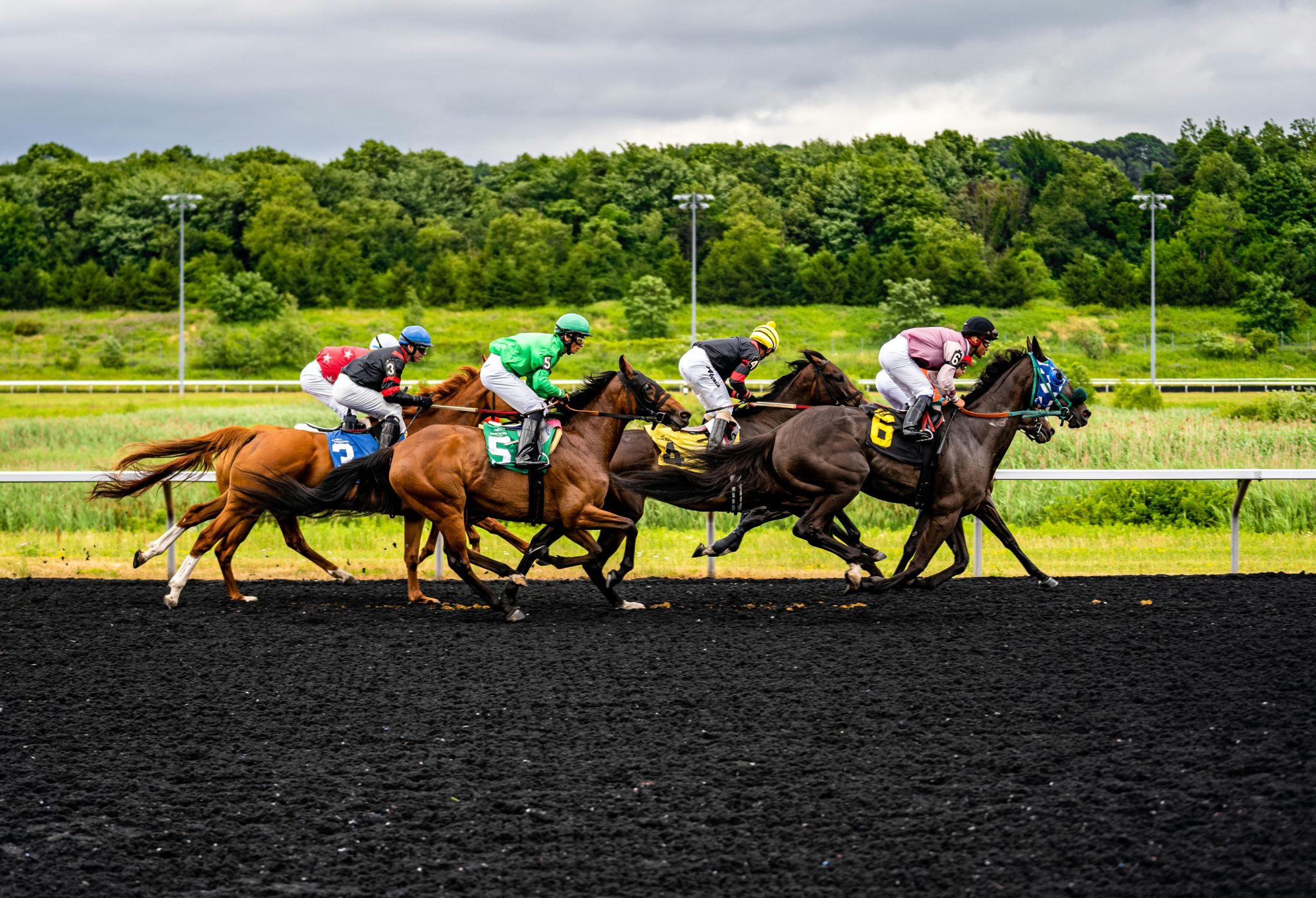 How Do Odds Work in Horse Racing: A Beginner’s Betting Guide ...